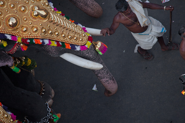 thrissur pooram – Musings of a Wandering Mind
